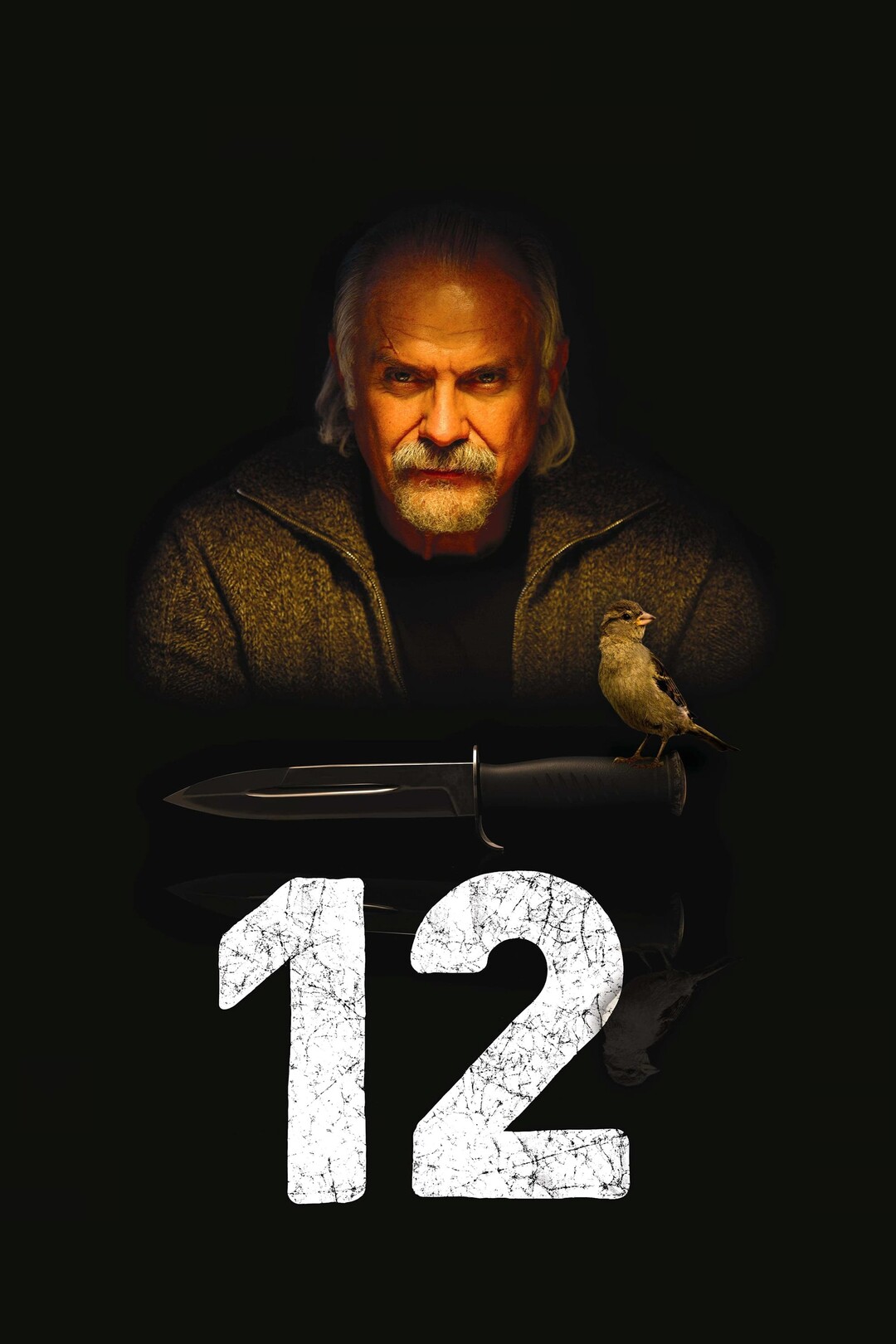 12 (фильм, 2007)
